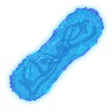 Evolved Bacteria - Bacterial Takeover